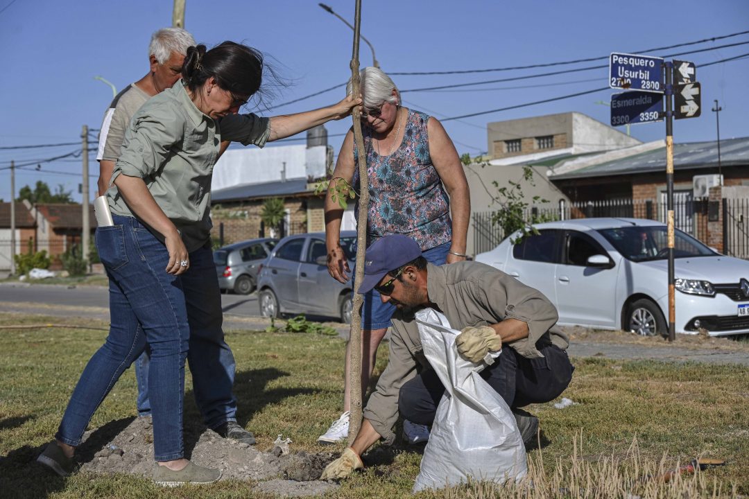 Reverdecer Bahía: Profertil donó 1000 árboles